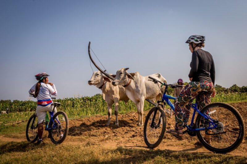 Phnom Penh: Mekong Islands & Silk Islands Guided Bike Tour - FAQ