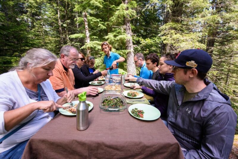 Seattle: Olympic National Park Small-Group Tour - Final Thoughts