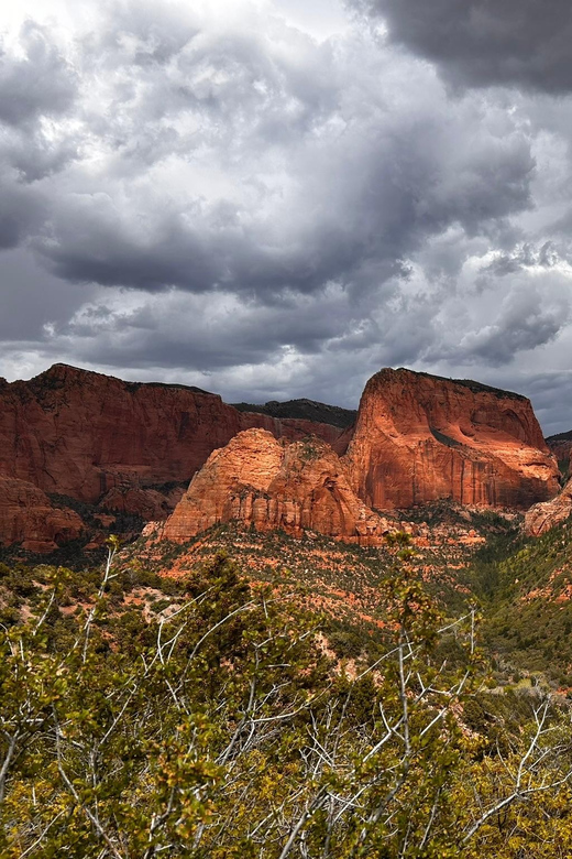 Zion National Park 5-hour Tour: Hike and Drive - Final Thoughts