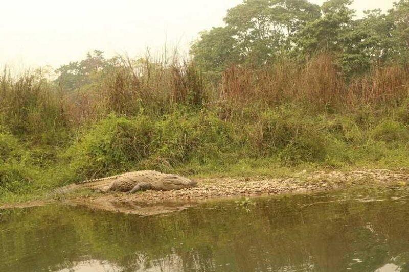 3 Days Chitwan Safari - FAQ