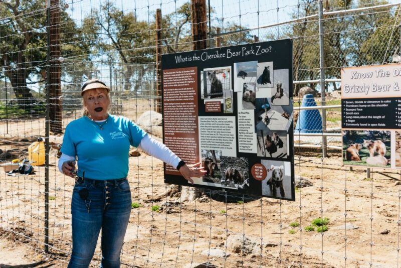 Alpine: Lions Tigers & Bears Animal Sanctuary Guided Visit - The Sum Up: Why Choose Lions Tigers & Bears?