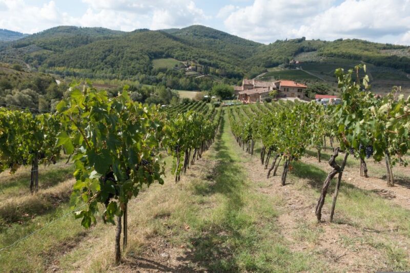 From Florence: Wine Tour in Siena and Tuscan Countryside - Final Thoughts