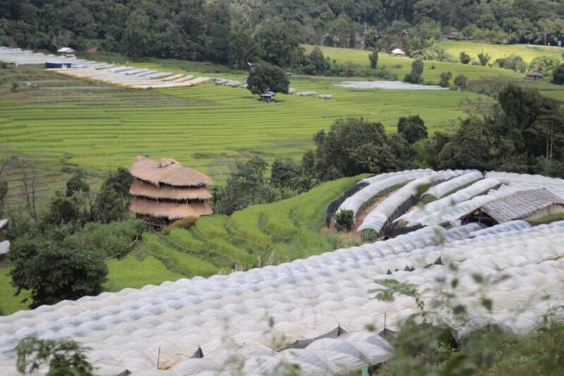 Private Doi Inthanon With Trekking Pha Dok Siew Nature Trail - Why You Should Consider This Tour