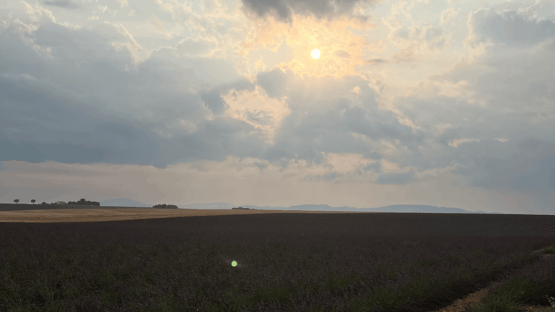 A provençal picnic at sunset in the lavender fields - Analyzing the Value