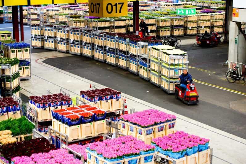Aalsmeer: Flower Auction Royal Flora Holland Entry Ticket - What the Entry Ticket Includes