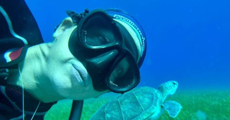 Abades: Guided Snorkeling Tour with Photos - The Marine Life You Might Encounter