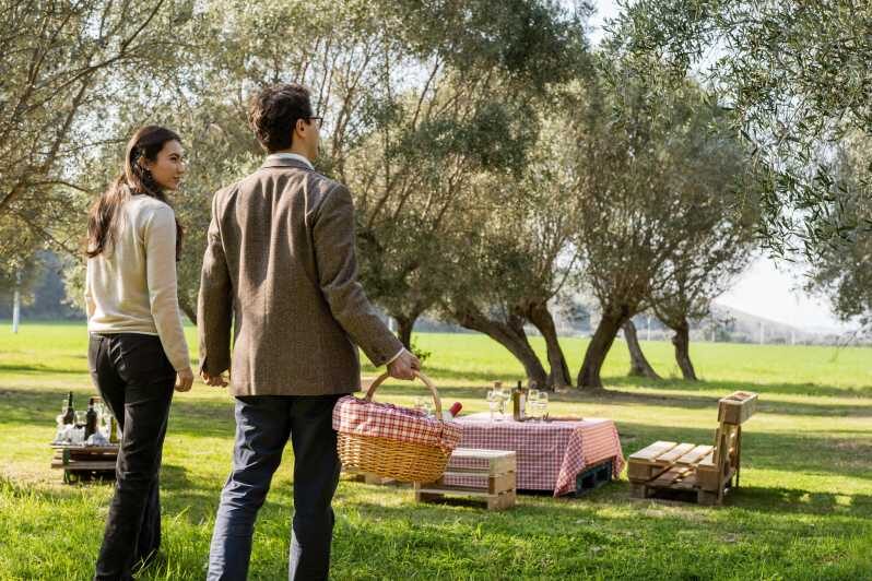 Abruzzo: Country Picnic in an Olive Grove at a Winery - Who Will Enjoy This Tour?