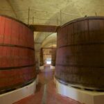 Abruzzo: Historic Cellar Wine Tour and Tasting - Exploring the Cellar and Vinification Techniques