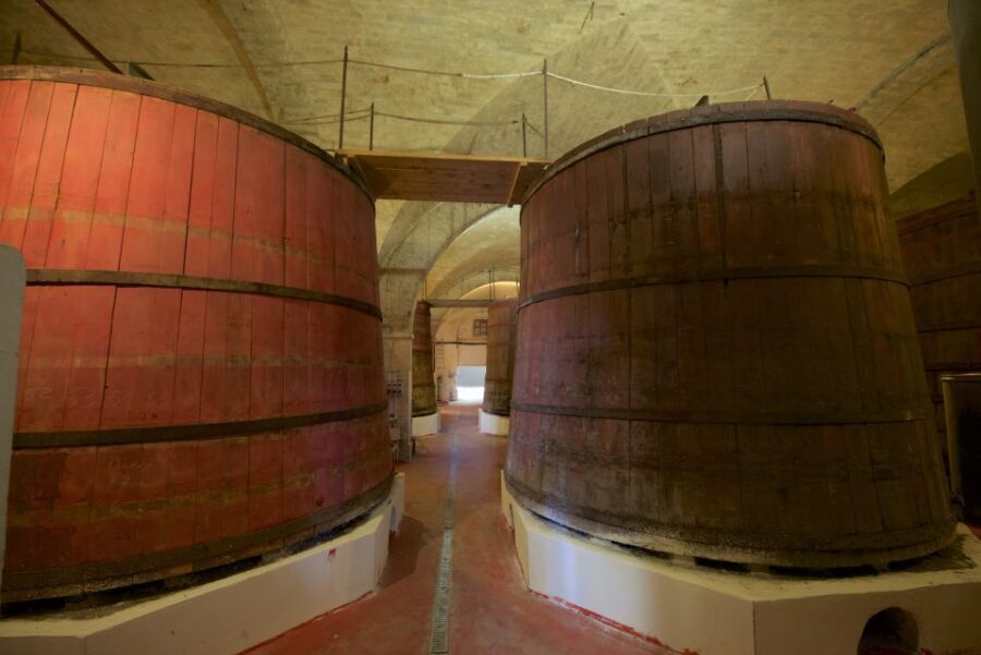 Abruzzo: Historic Cellar Wine Tour and Tasting - Exploring the Cellar and Vinification Techniques