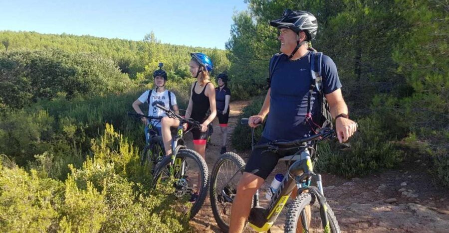 Aix-en-Provence: E-Bike Tour of Mount Sainte-Victoire - Why Travelers Love This Tour