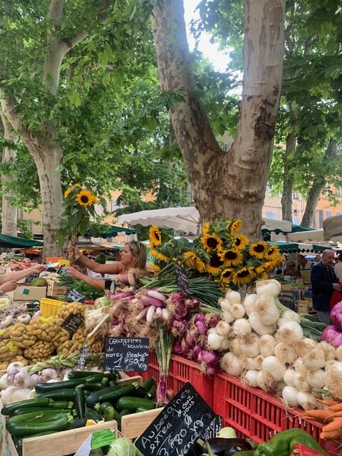 Aix-en-Provence: Gourmet and Cultural walking Tour - The Experience in Detail