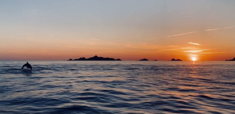 Ajaccio/Porticcio: Sanguinaires Islands Sunset Tour&Aperitif - Key Points