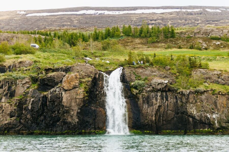 Akureyri: 3-Hour Classic Whale Watching Tour by Ship - The Experience: What Travelers Are Saying