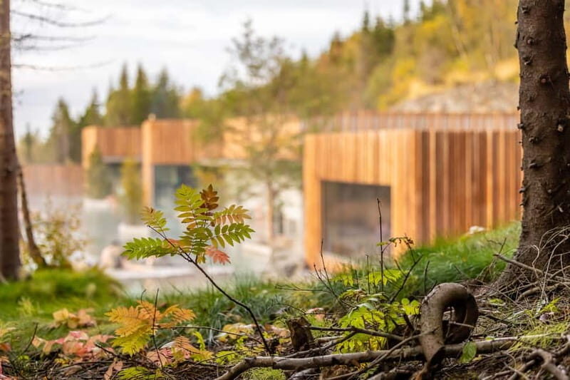 Akureyri: Forest Lagoon Entrance Ticket - Who Will Love the Forest Lagoon?