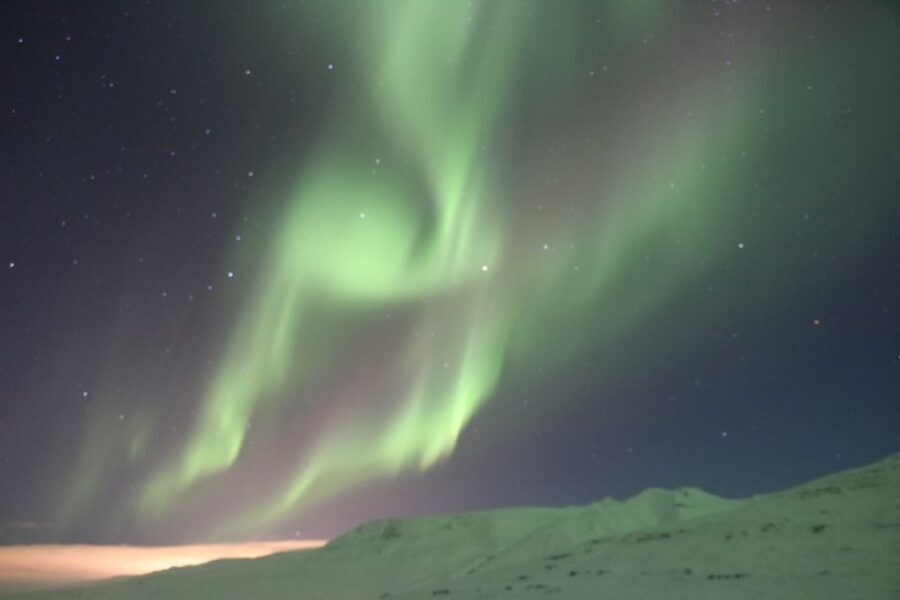 Akureyri: Hunt for the Northern Lights Photography Tour - The Value of the Tour