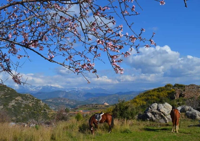 Alanya: Horse Riding Adventure - Practical Details and Tips