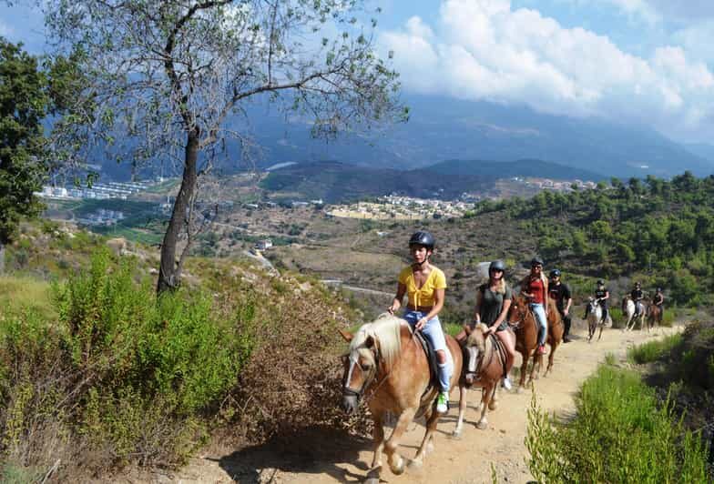 Alanya: Horse Riding Club Transfer Service - Practical Details and What to Wear