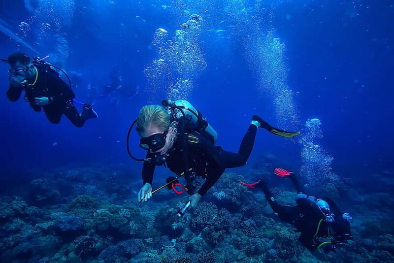 Alanya: Scuba Diving Tour with Lunch and Hotel Transfers - What Makes This Tour Stand Out?