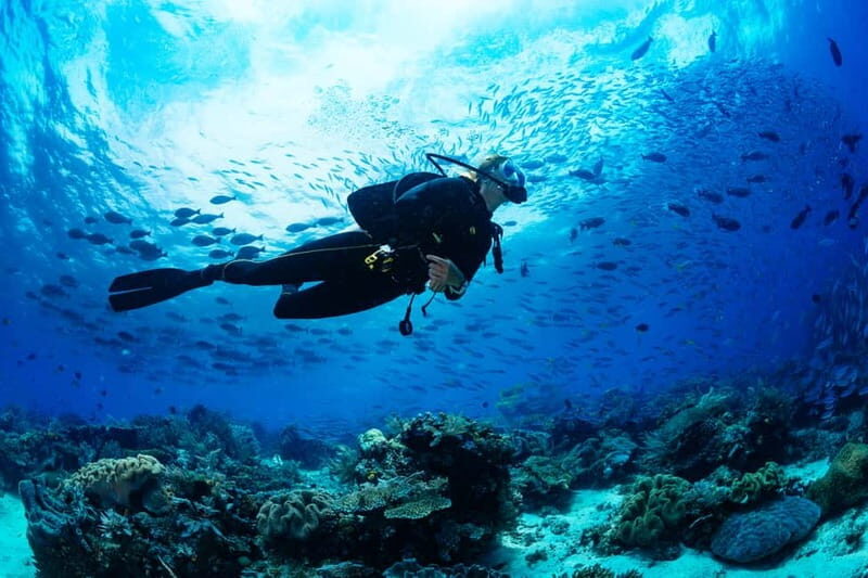 Alanya: Scuba Diving Tour With Lunch - What Sets This Tour Apart?