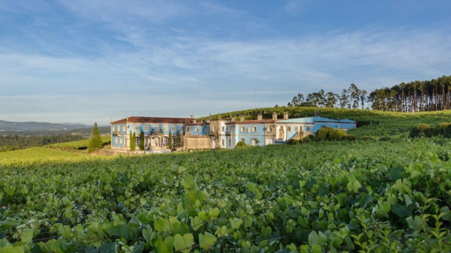 Albariño Wine Tasting with Winery Tour - The Itinerary: What to Expect from the Tour