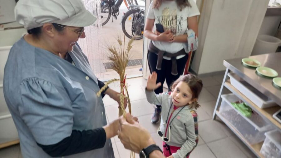 Alberobello e-bike tour, trulli, mill and donkey farm - The Value and Practical Details