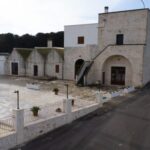 Alberobello: Winery Tour with Wine and Food Tasting - The Value of the Tour