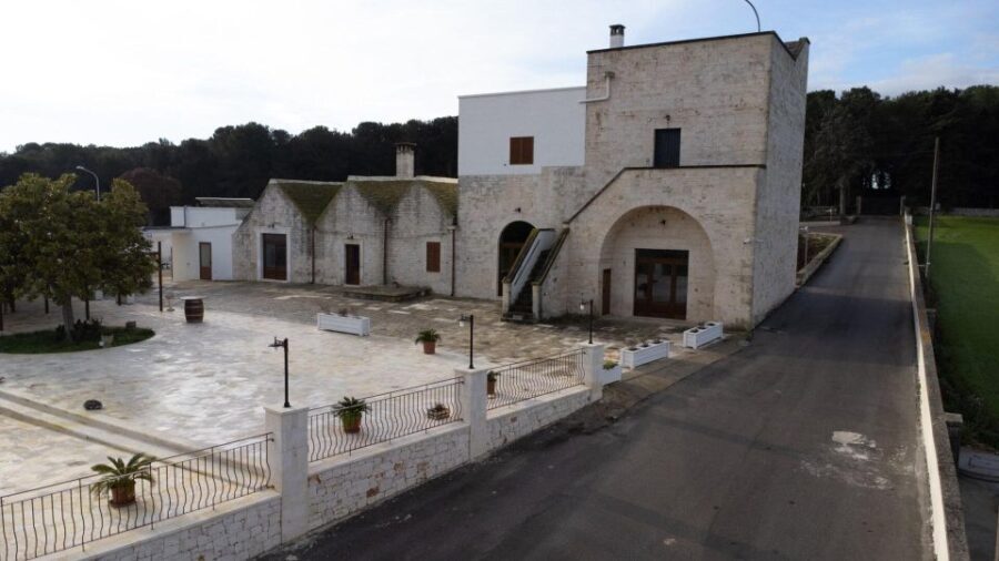 Alberobello: Winery Tour with Wine and Food Tasting - The Value of the Tour