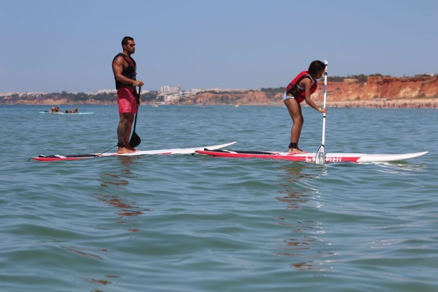 Albufeira: 1 Hour Stand-Up Paddleboard Experience - What to Expect from Your Paddleboarding Adventure