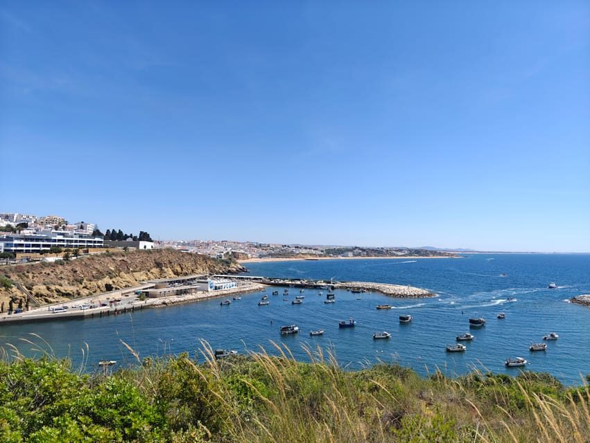 Albufeira: Albufeira Marina & west coast Tour 1.5h - What’s Included and What’s Not
