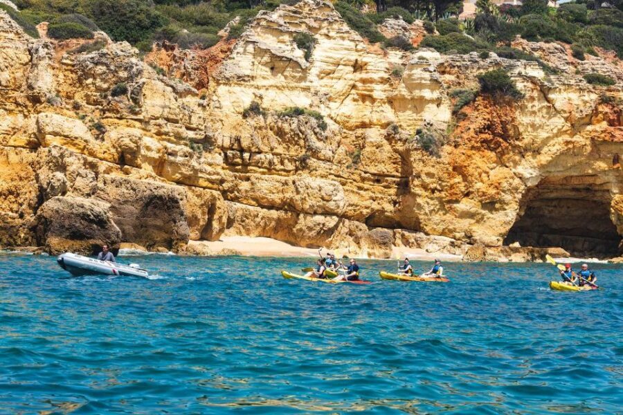 Albufeira: Algarve Kayak and Coastline Tour - What’s Included and What to Consider