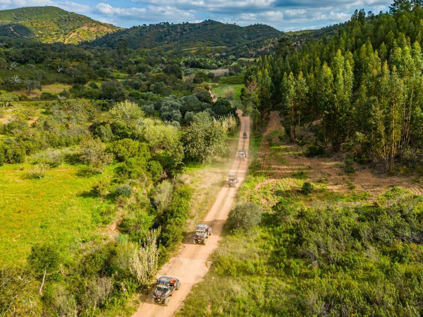 Albufeira: Off-Road Buggy Adventure - The Sum Up