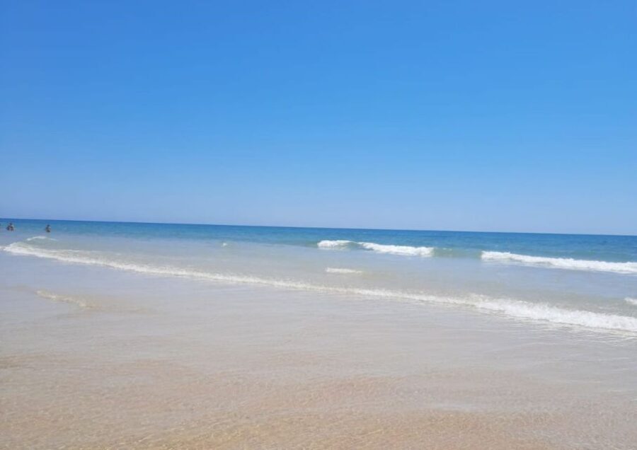 Albufeira - Visit Olhão & Culatra Island with lunch included - Analyzing the Value