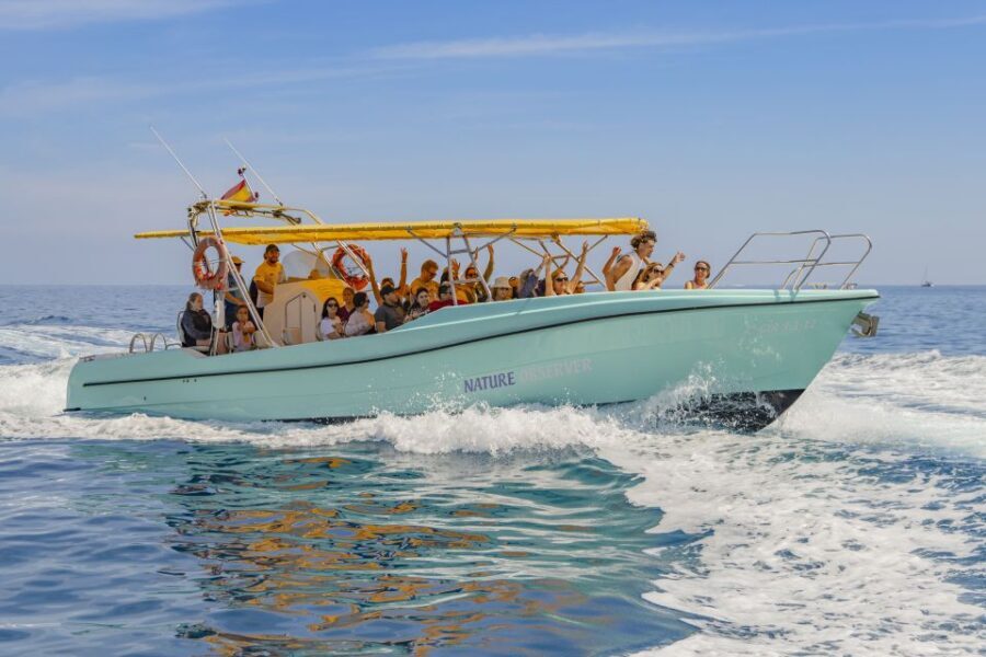 Alcudia: Coll Baix Beach & Sea Caves Cruise with Snorkeling - The Itinerary Breakdown