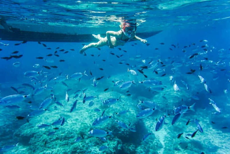 Alcudia: Formentor Beach, Lighthouse Cruise, and Small Group - Who Is This Tour Best For?