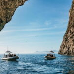 Alcudia or Can Picafort: Dolphin-Watching Cruise - The Experience in Detail
