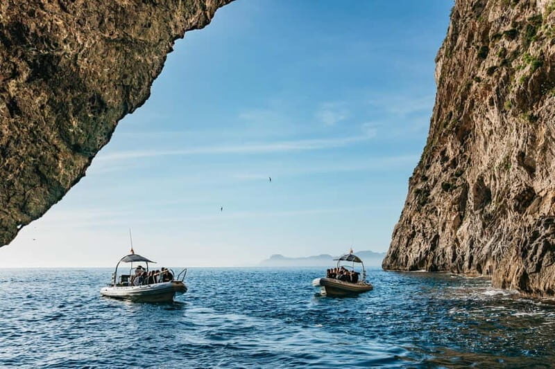 Alcudia or Can Picafort: Dolphin-Watching Cruise - The Experience in Detail