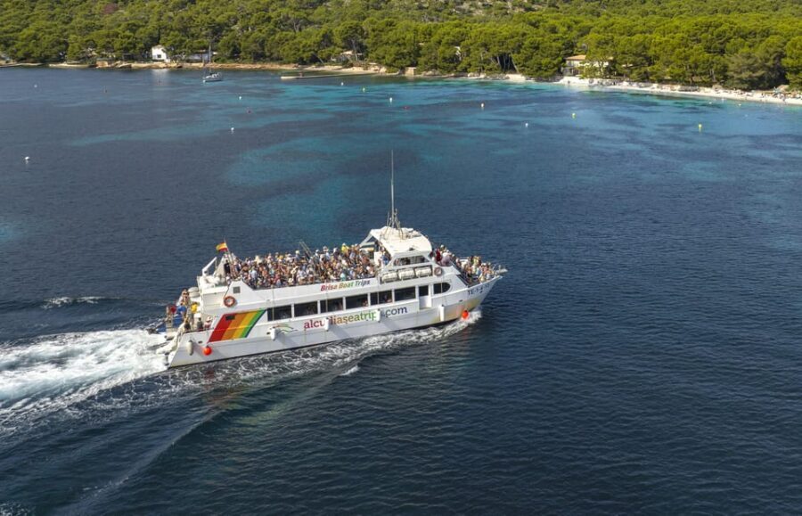 Alcudia: Trip to Formentor Beach - Who Should Consider This Tour?