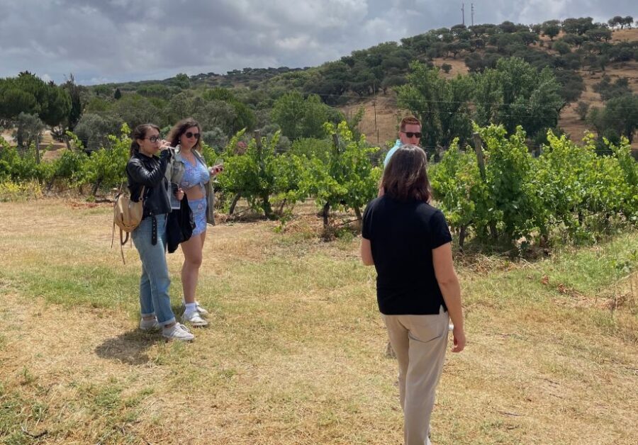 Alentejo Wine from Évora - Who Will Love This Tour?