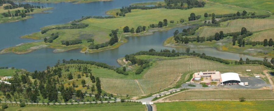 Alentejo Wine Tour from the Algarve - The First Winery: Vineyard Walk and Tasting