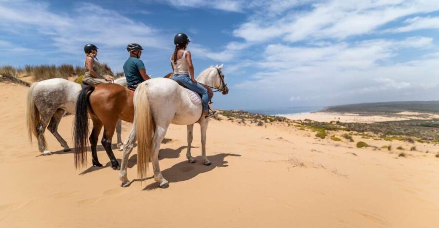 Algarve: 1-Hour Carrapateira Horseback Riding Tour - Who Will Love This Tour?