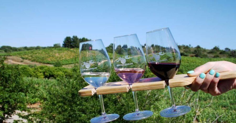 Algarve: 3 Types of Wine Tastings with Vineyard Views - Why We Think This Experience Works