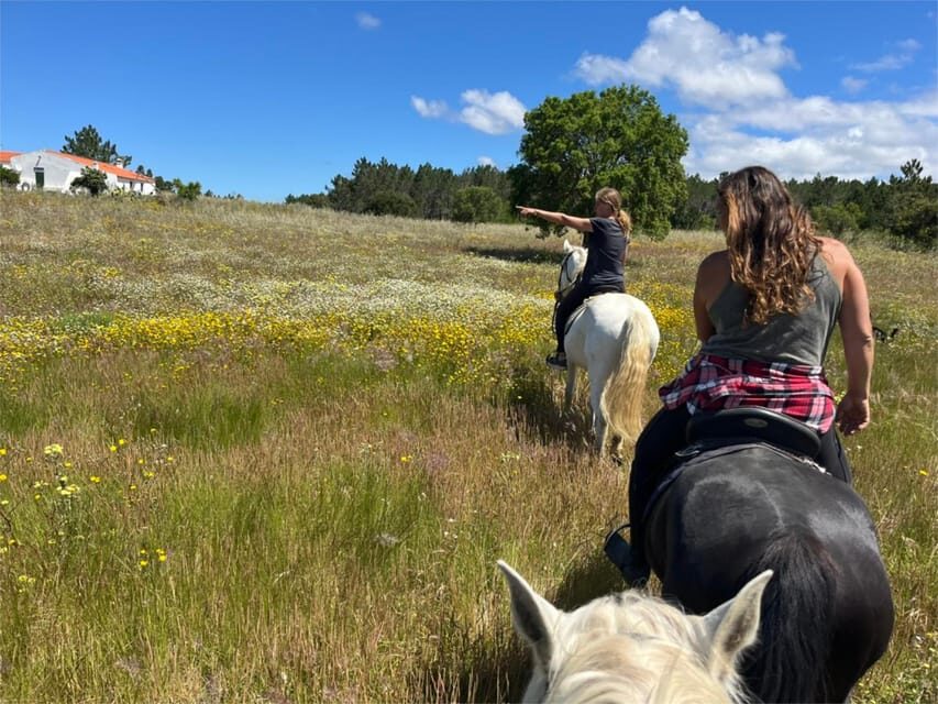 Algarve Horseriding tour in the countryside of Aljezur Rogil - A Deep Dive into the Experience