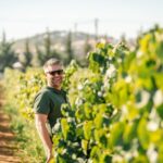 Algarve: Vineyard Tour & Premium Wine Tasting in Silves - Why This Tour Is Perfect for You