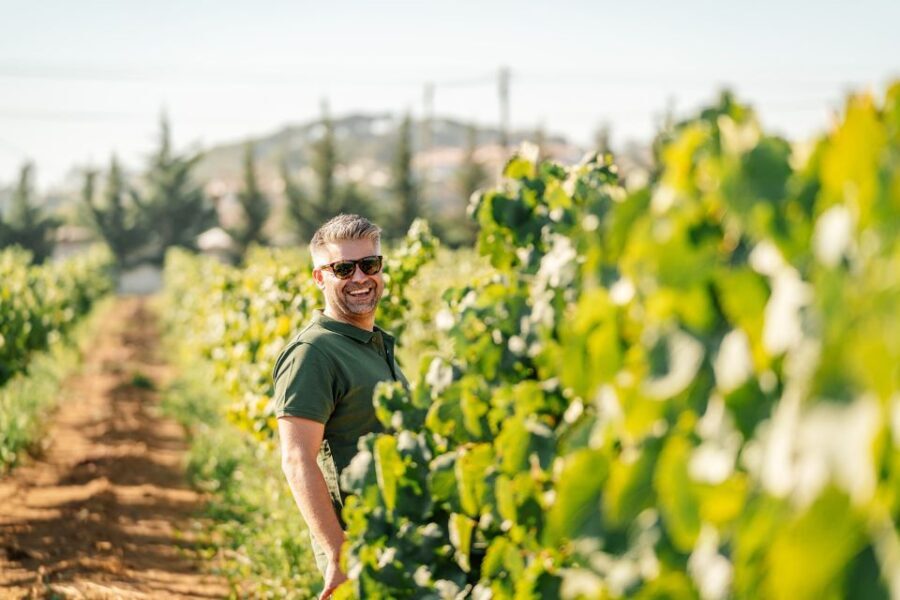 Algarve: Vineyard Tour & Premium Wine Tasting in Silves - Why This Tour Is Perfect for You