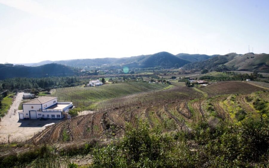 Algarve wine tour and mountain top trip with lunch or dinner - Who Will Love This Tour?