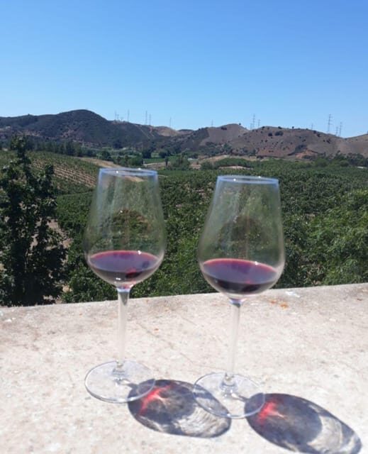 Algarve Wine Tour of two estates guided by wine expert - What Makes This Tour Stand Out?