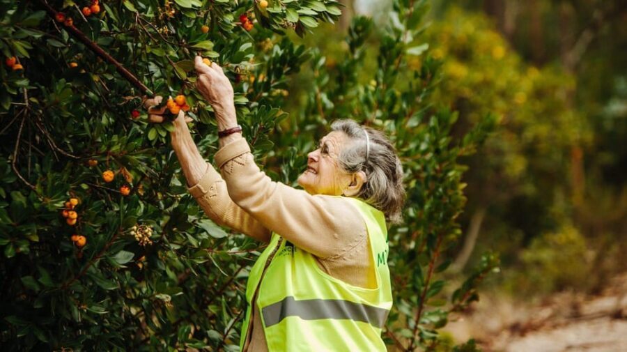 ALGARVE'S ARBUTUS BERRY TRAIL - The Sum Up: Is It Worth It?