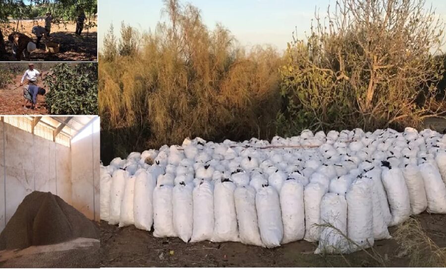 ALGARVE'S CAROB TRAIL - Practical Details & Value