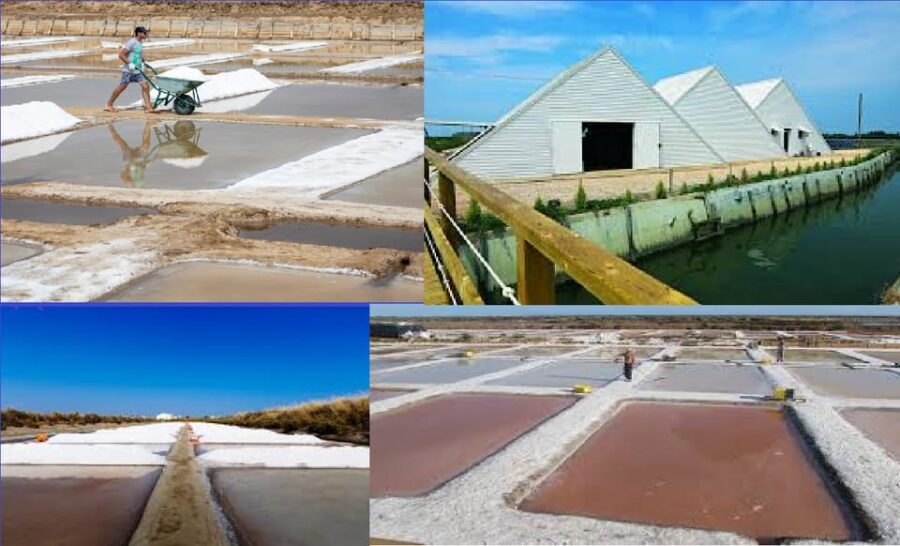 ALGARVE'S SALT TRAIL - The Itinerary Breakdown