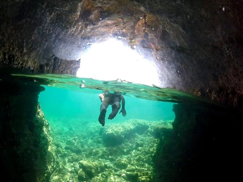 Alghero: Boat Tour with Snorkeling in Porto Conte - Who Will Love This Tour?